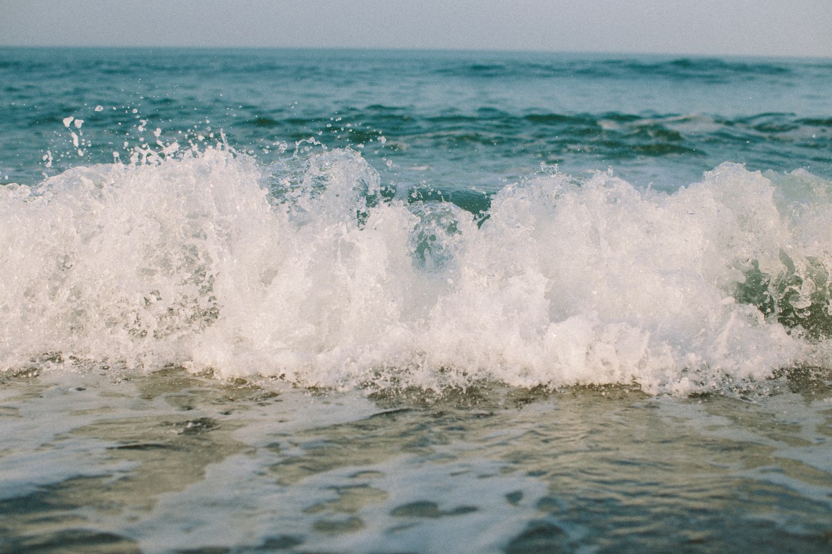 The Saturday House – Every day is Saturday